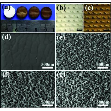 Microstructure And Composition Based Bone Tissue Engineering