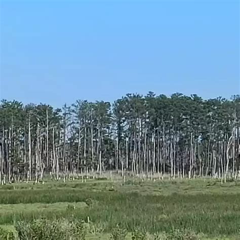 Logarithms Practice Problems Solving Earth Science Problems With Logarithms