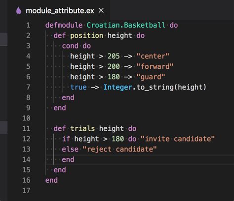 Module Attributes In Elixir Tentamen Software Testing Blog