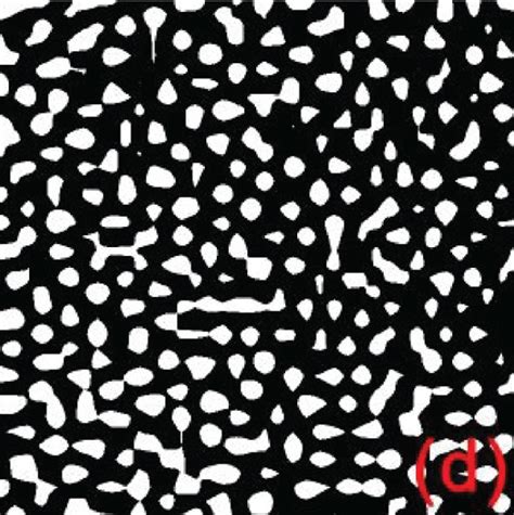 Representative Example Of Bias Field Correction And Deeplab Download Scientific Diagram