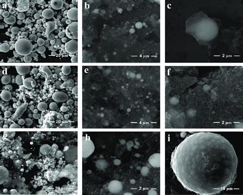 Sem Micrographs Of Nickel Particles Synthesized In Di Water A C