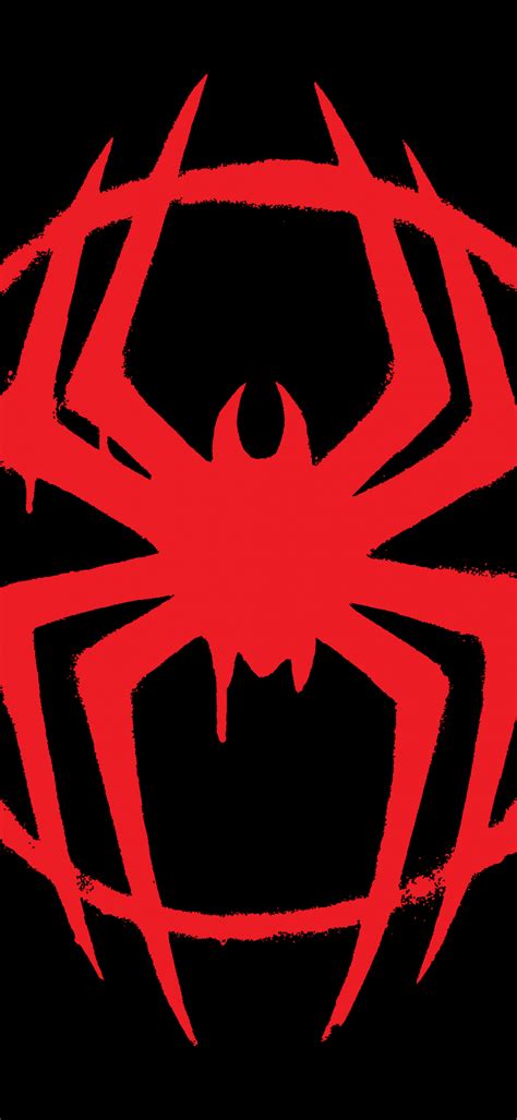 Spider Man Across The Spider Verse Wallpaper 4k Logo 5k 8k Amoled