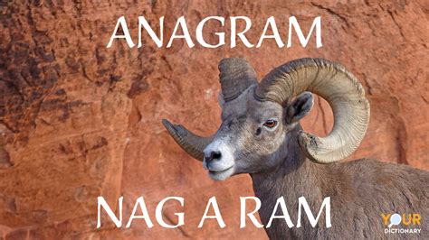 Anagram Examples And Their Functions Yourdictionary