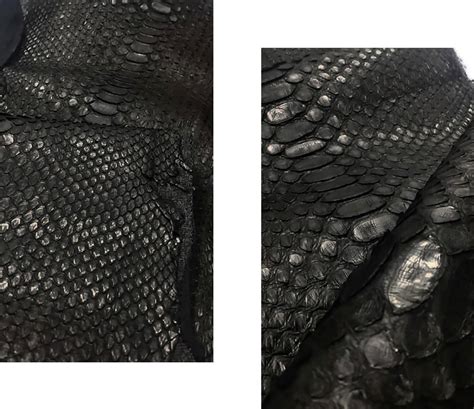 Daft Python Dunk Samples Rqualityreps