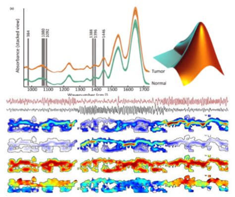 Training On BioMedical Image Analysis