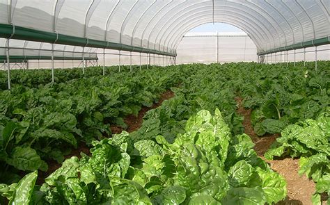 Започна приема по подмярка 6 3 „Стартова помощ за развитието на малки стопанства“