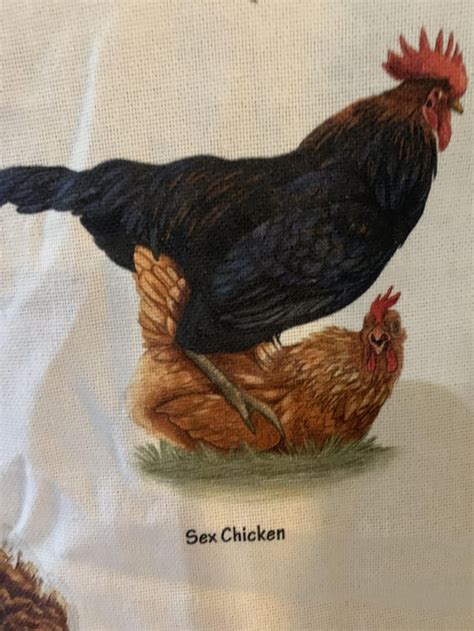 Sex Chicken Rskamtebord Sex Chicken Rskamtebord