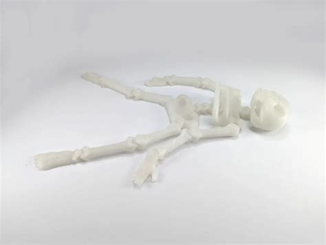 Articulated Skeleton By Contributing Factor Makerworld