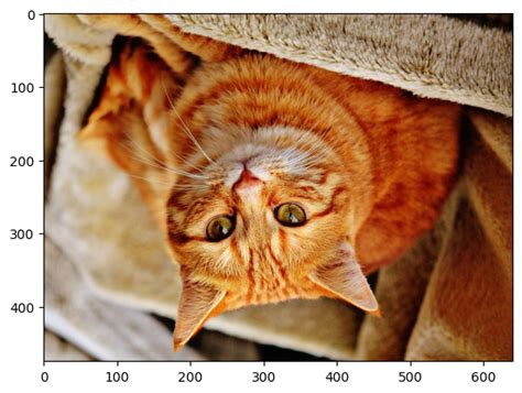 NvImageCodec With TensorFlow NvImageCodec
