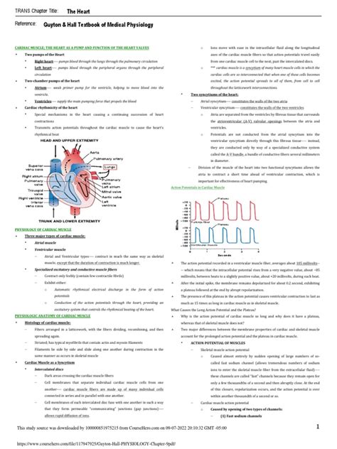 Guyton Hall Physiology Chapter 9 Pdf Pdf Heart Valve Ventricle Heart