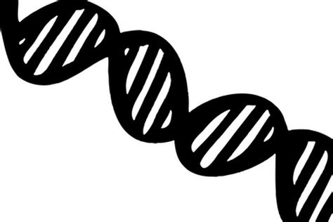 How Is Recombinant DNA Made Sciencing