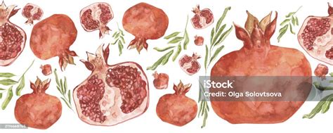 수채화 이음새 이음새 테두리 와 석류 과일 와 녹색 잎 와 백색 배경 고립된 와 석류와 손으로 그린 과일 리본 가을에 대한 스톡