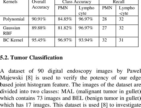 Classification Accuracy For Different Type Of Kernels Download Table