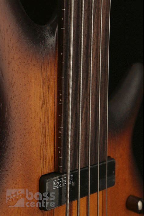 Fretless Basses