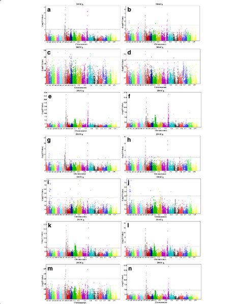 Manhattan Plots Of Marker Trait Association Analysis Using The Pca K Download Scientific