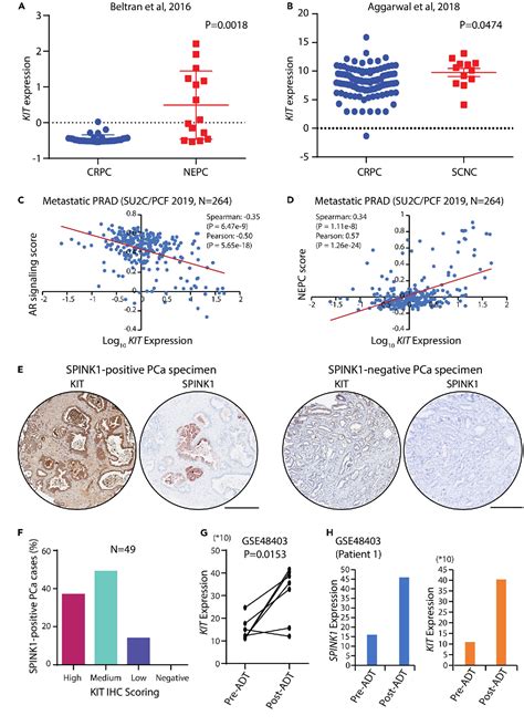 Figure 1 From An Integrative Proteomics Approach Identifies Tyrosine