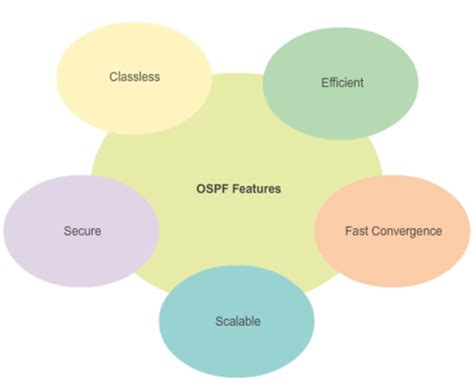 Chapter 8 Single Area Ospf Flashcards Quizlet