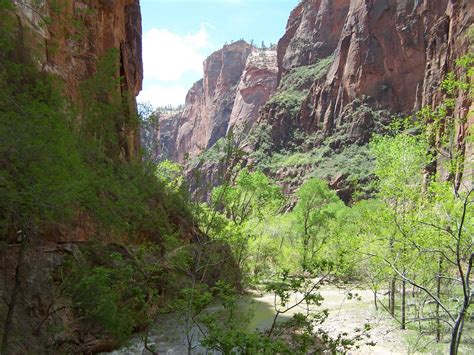 Thearys Gary And Mary May 10 Early May In Zion National Park
