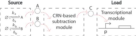 3 The Analysis Of The Retroactivity Is Realised By A Modular Download Scientific Diagram