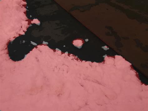 github blue sky sea snow segmentation cnn segnet a snow segmentation