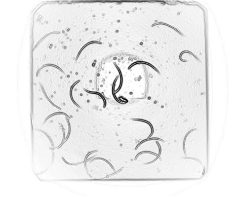 Python Modified Active Contour Method In Image Processing Stack Overflow