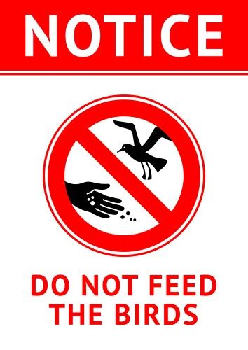 Do Not Enter Sign Royalty Free Vector Image Vectorstock