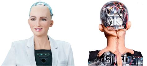 Affective Social Robot Meet Sophia An Example Of An Afc Type Iii