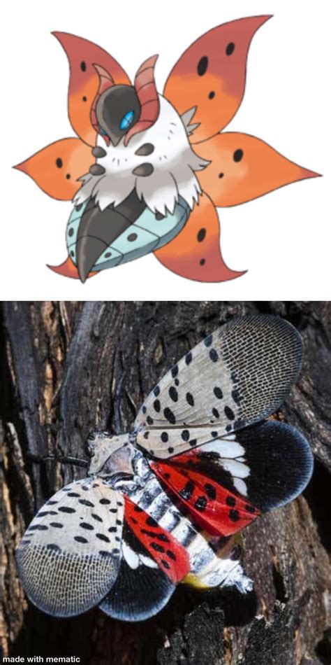 Final Evolution R Pokemon
