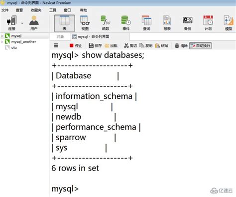 Navicat运行命令行的方法 数据库 亿速云