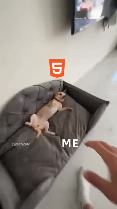 asif ali on linkedin codingmemes memes developers