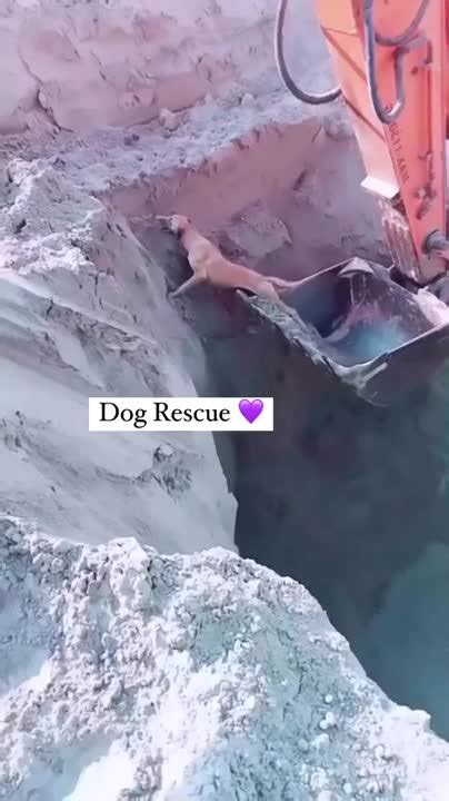 Imtiyaz Khan Posted On Linkedin