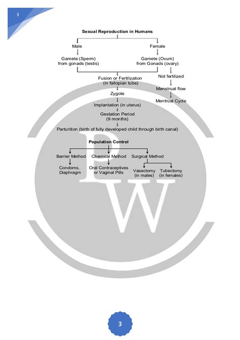 Science Formulas Artofit