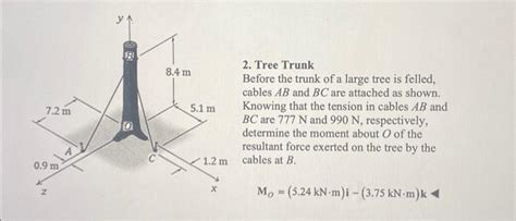 Solved Tree Trunk Before The Trunk Of A Large Tree Is Chegg Com