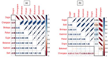 Correlogram Showing The Pearson Correlation Results Between Ethnic