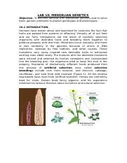 Lab Mendelian Genetics Docx LAB MENDELIAN GENETICS Objective To Become Familiar With