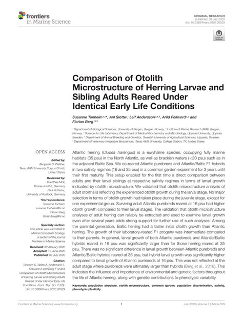 Pdf Comparison Of Otolith Microstructure Of Herring Larvae And Sibling Adults Reared Under