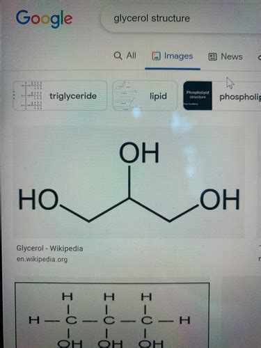MCAT Biology Flashcards Quizlet