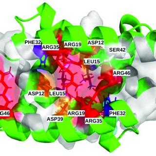 Illustration Of The Common Binding Site Of The Different Subtypes Download Scientific Diagram