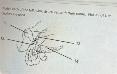 Solved Match Each Of The Following Structures With Their Chegg