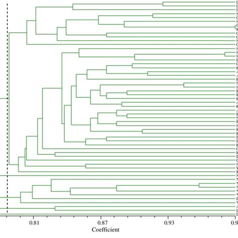 Dendrogram Derived Using Upgma Cluster Analysis Based On The Ssr