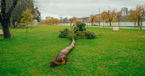 ფოტოფაქტი ძლიერი ქარის შედეგად დაზიანებული საცხოვრებელი სახლები და ინფრასტრუქტურა ბათუმში