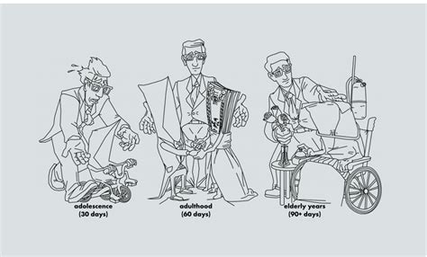 Accounts Payable Aging Pretty Books Magazine