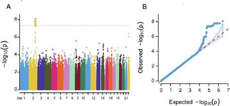 Gwas Analysis Of The Results Of The Manhattan Plot And The Q Q Plot Download Scientific Diagram