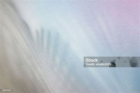 벽 콘크리트 배경에 화려한 색상 그림자 손바닥 잎 실루엣 추상적 인 열대 잎 천연 무늬 여름 디자인 부드러운 이미지 배경 0명에 대한 스톡 사진 및 기타 이미지 Istock