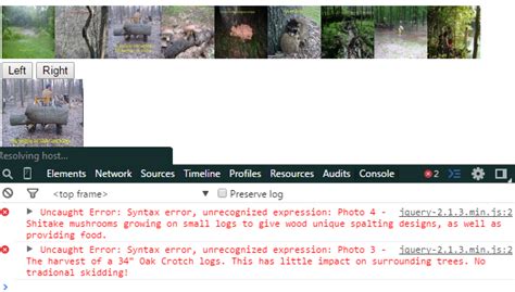 Javascript JQuery Uncaught Error Syntax Error Unrecognized Expression Bunch Of Photo