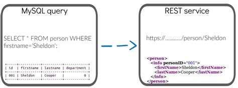 exposing data as rest using wso2 dss com exile