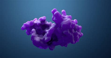 What Do Proteolytic Enzymes Do Vitalshop By Dr Reinwald