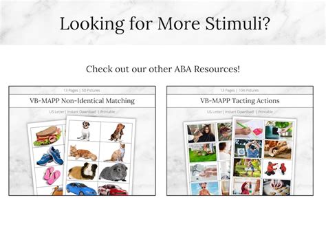 VB MAPP Identical Matching ABA Materials Flashcards Printable