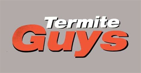 The Ecological Role Of Termites As Decomposers And Soil Nutrient