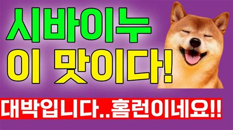 시바이누 코인 지금 시바이누 이게 끝이 아니라는거죠 시바이누 비트코인 Youtube